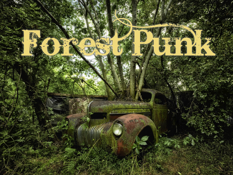 Vortrag – Forest Punk
