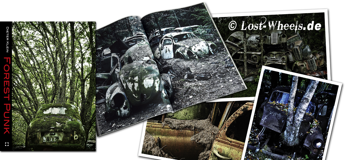 Forest Punk 1 – Forest Punk