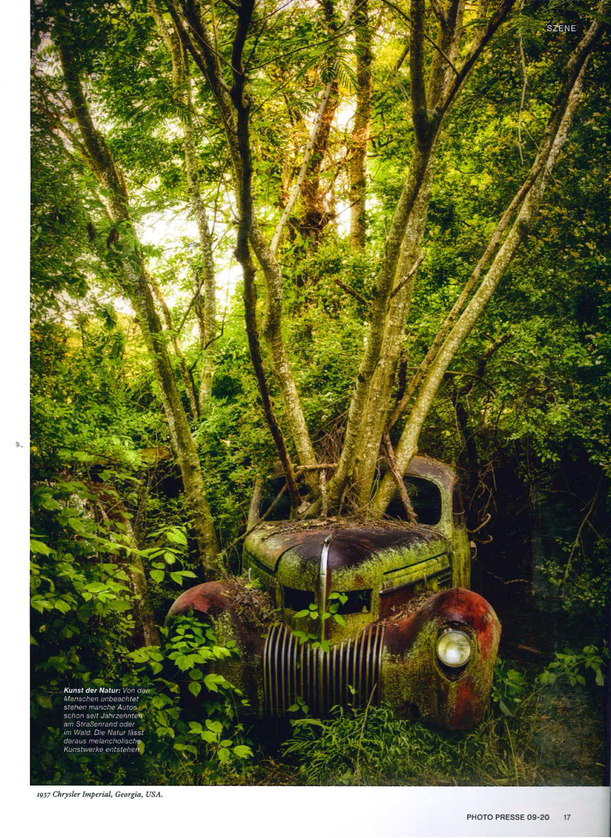 Press 2020 (PHOTO PRESSE) – Forest Punk